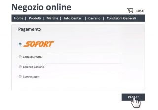 Sofort Banking: Cos'è e Come funziona il Bonifico Bancario Diretto