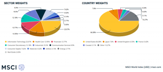 ETF MSCI World: Composizione, Grafico e come Investire
